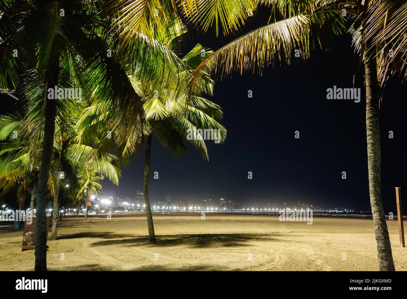 palm trees on the sand of Santos city beach, Sao Paulo, Brazil, at ...