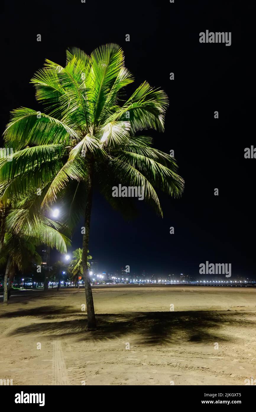 Santos city night view hi-res stock photography and images - Alamy