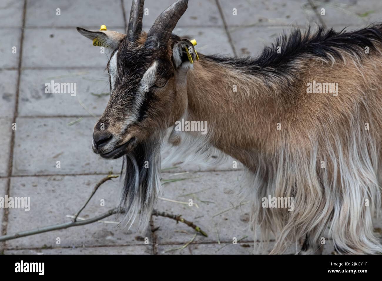 Ekeberg park hi-res stock photography and images - Alamy