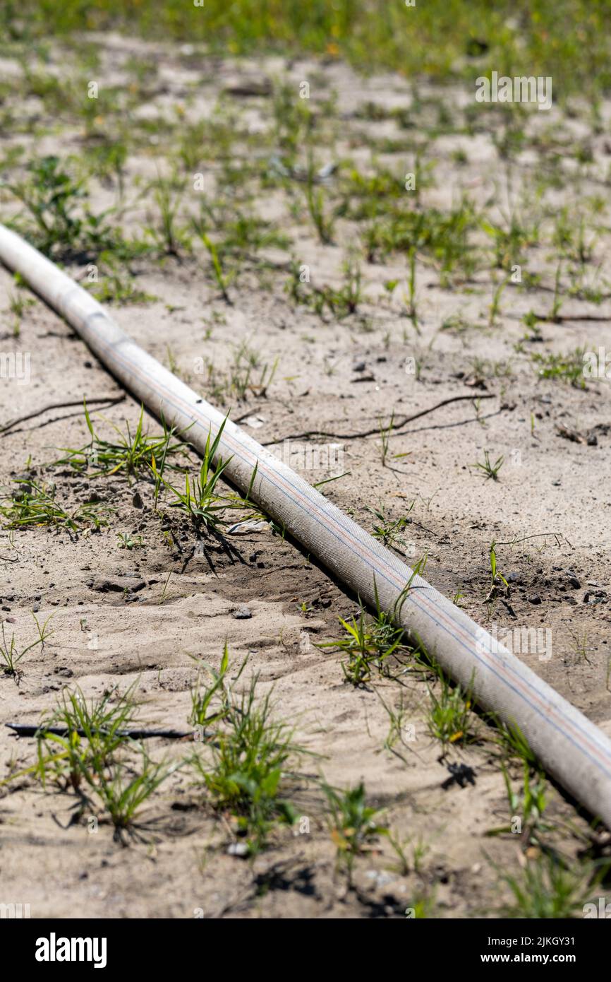 A vertical shot of an old, long garden hose on the ground in a blurred ...