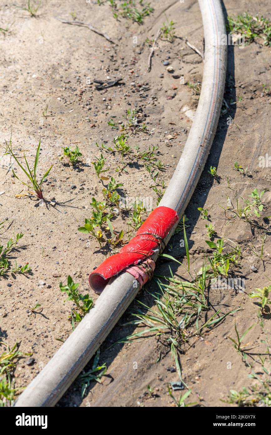 A vertical shot of an old, long garden hose on the ground in a blurred ...