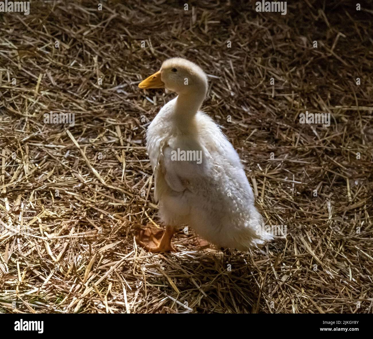 Ekeberg view hi-res stock photography and images - Alamy