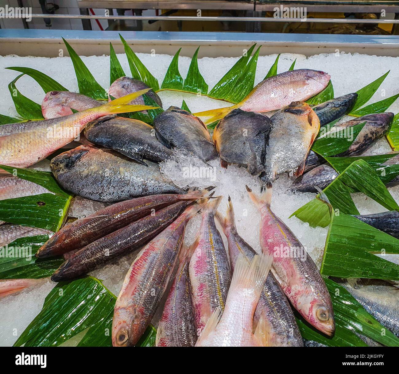 beautiful arrangement of sea fish, mackerel, pomfret, tuna, and other ...