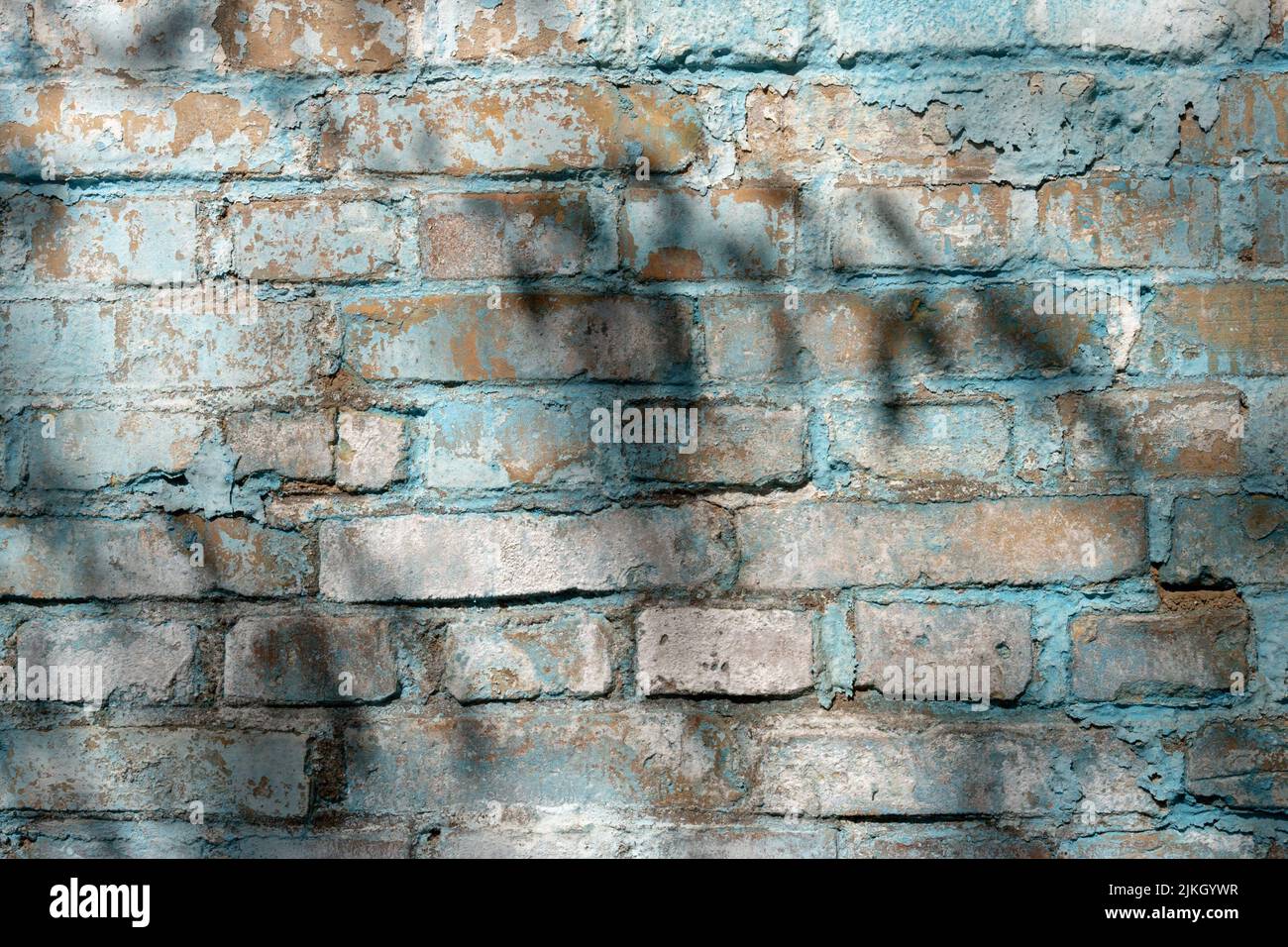 A brick wall with shadows of trees Stock Photo - Alamy