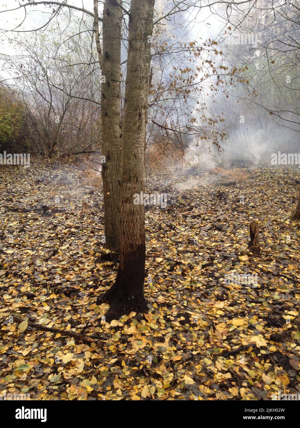 Smoke comes out of soil Stock Photo - Alamy