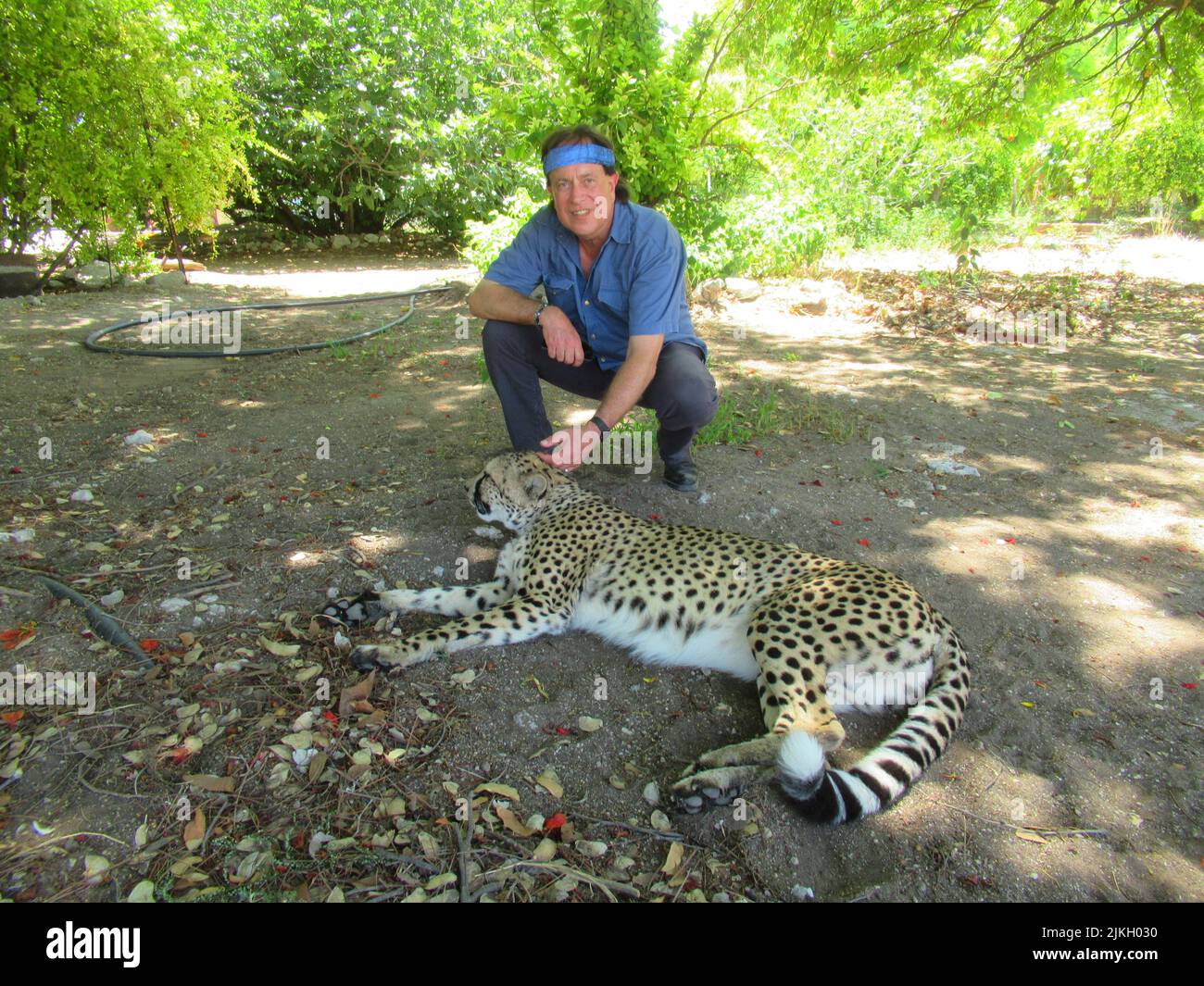 Cheetahs can be tamed, but they cannot be domesticated.However, they ...