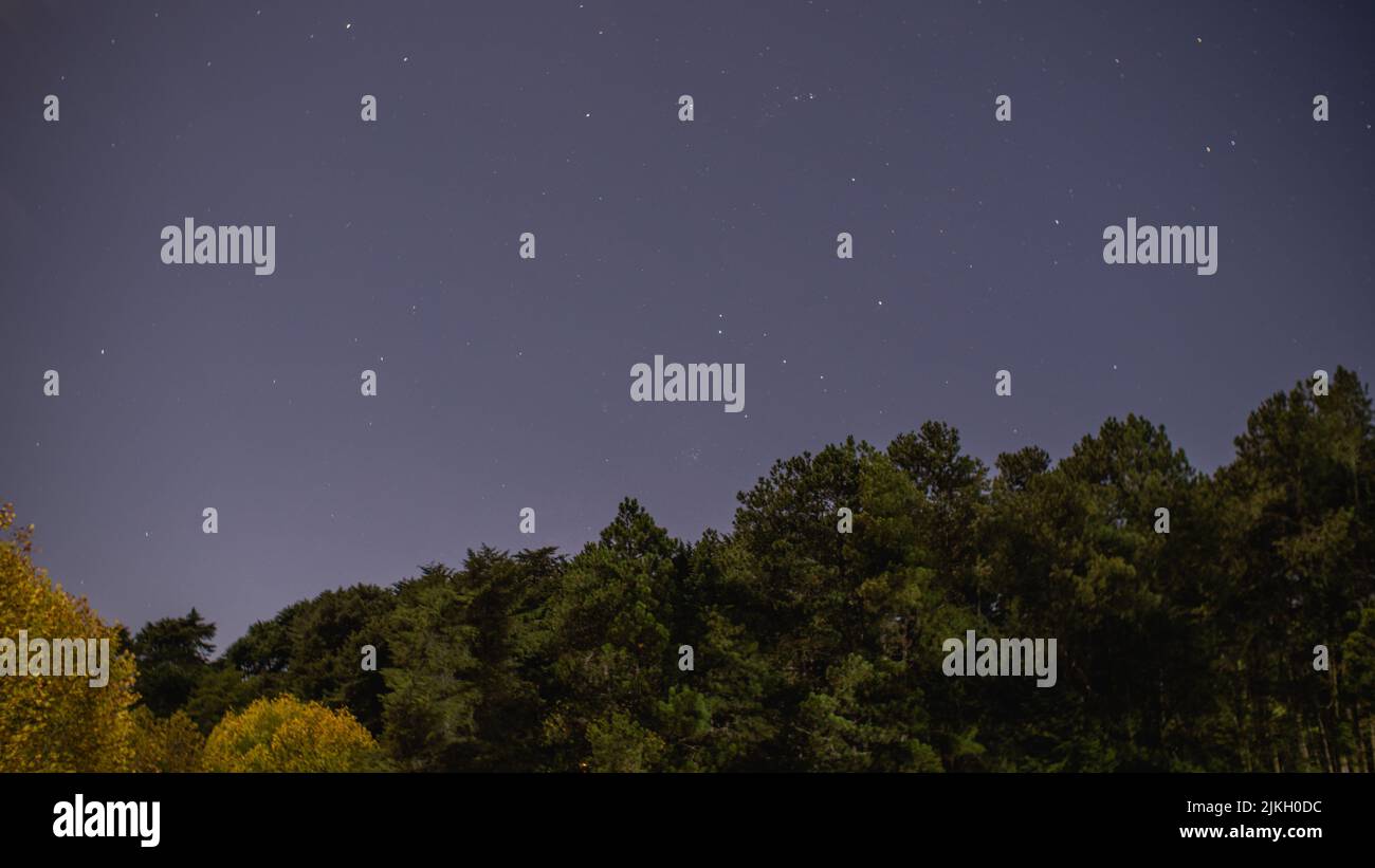 A beautiful view of a starry sky over the forest with trees Stock Photo ...