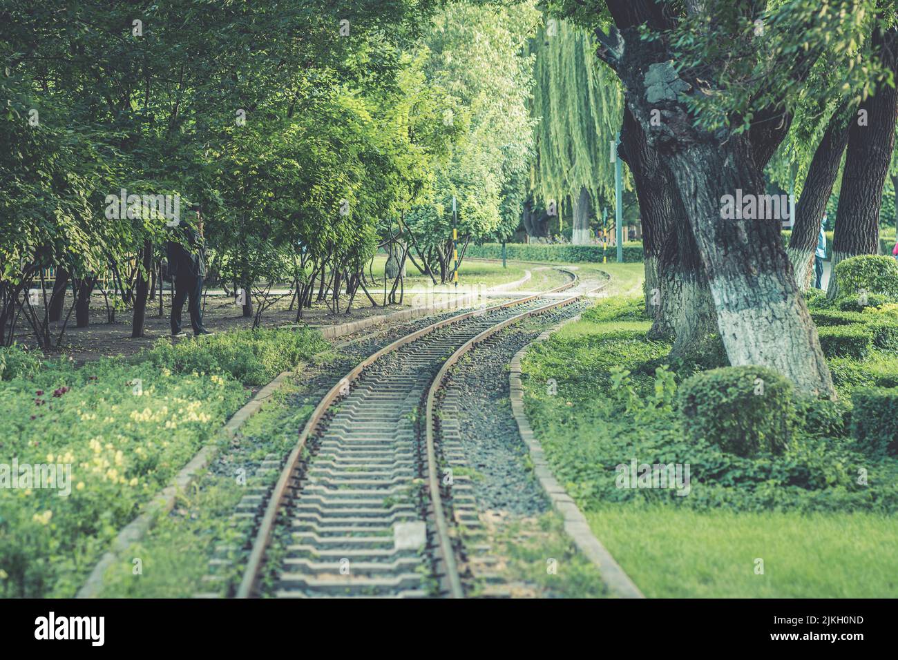 Summer train hi-res stock photography and images - Alamy