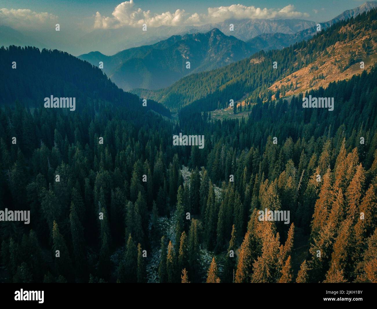 An aerial view of green forests near rural mountains Stock Photo - Alamy
