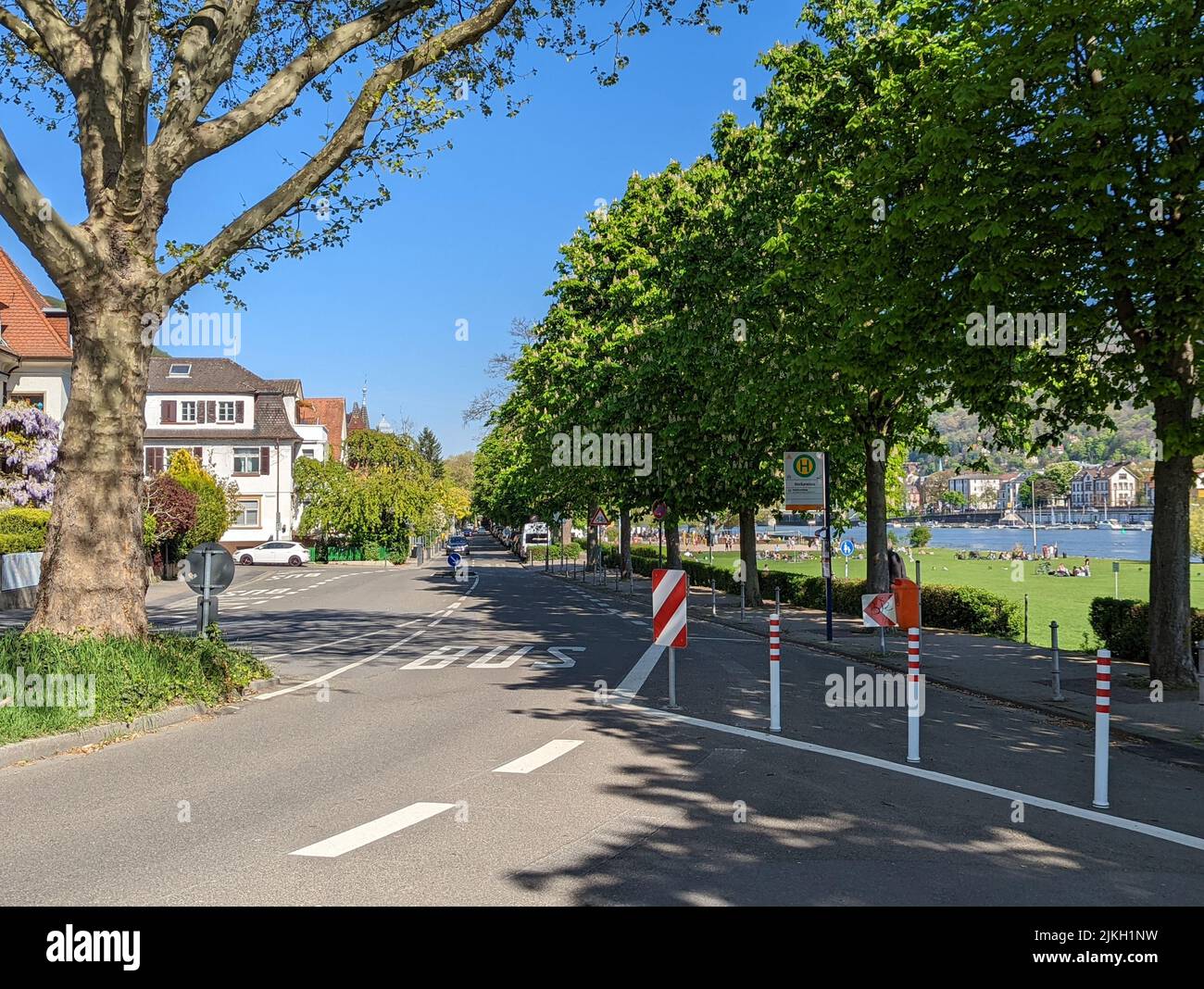 A bus stop with a marking on road, against green trees and a meadow ...