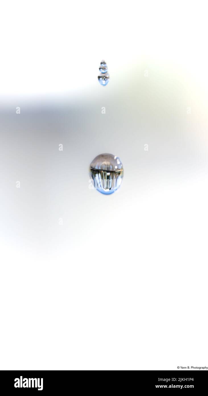 A vertical closeup shot of the tiny water drops against the white ...
