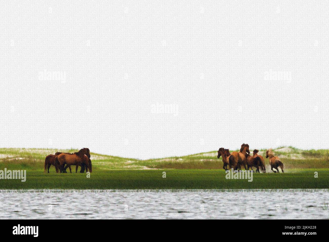 Band of horses - stallions starting to chase each other on Rachel ...