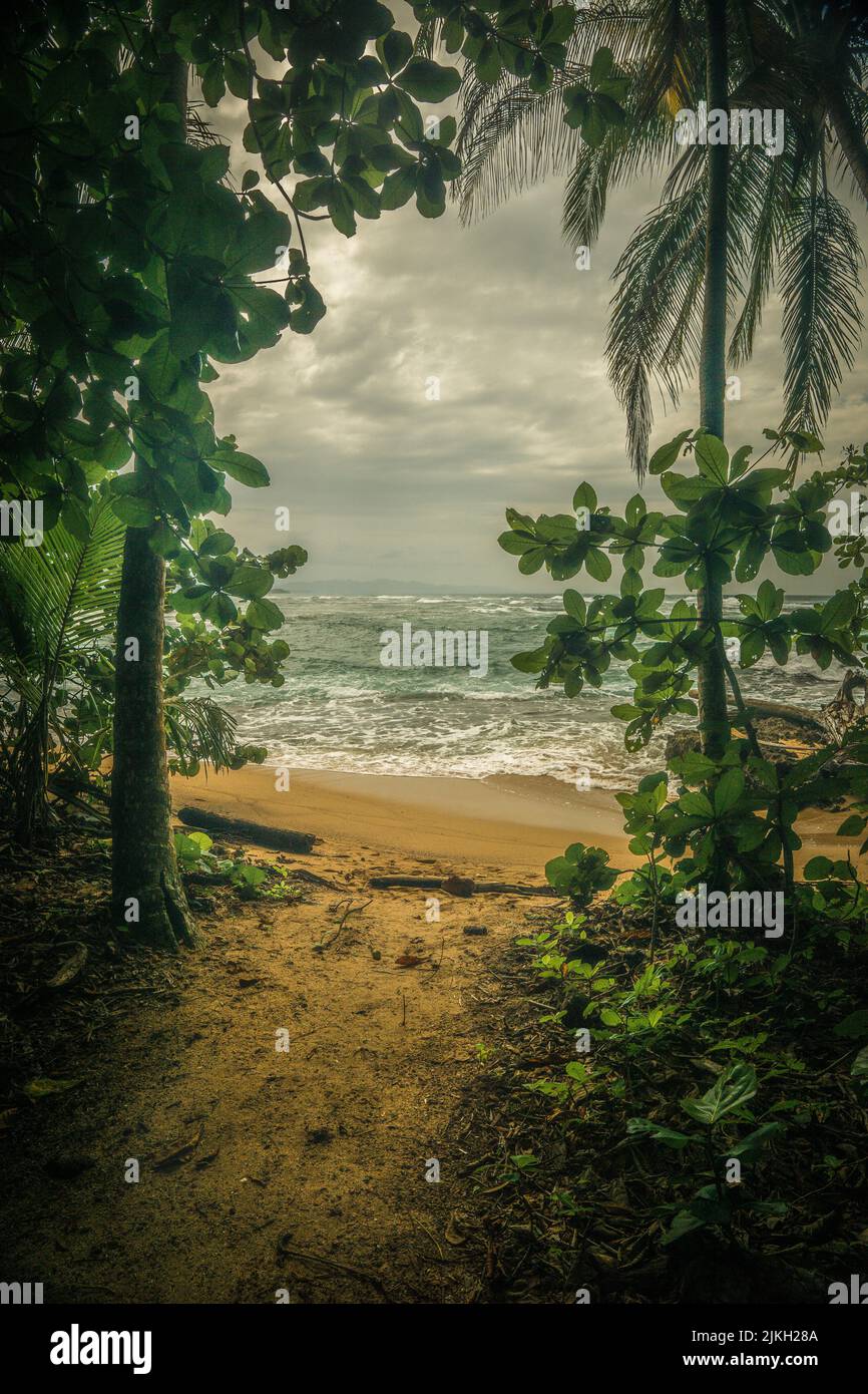 A vertical shot of a stormy sky over the coast of Manzanillo, Limon ...