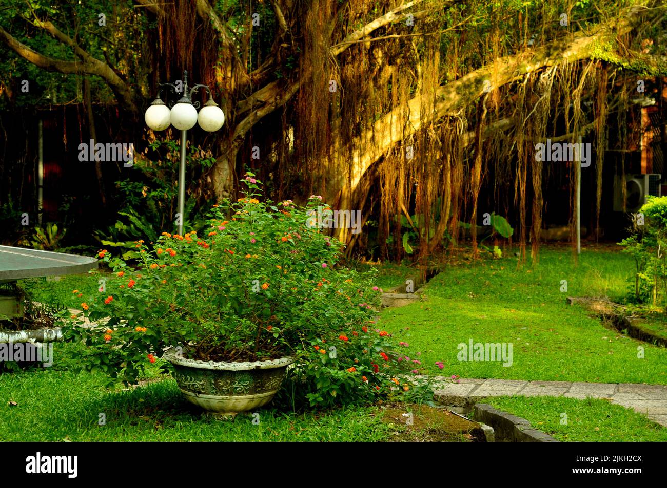 A beautiful view of the green garden Stock Photo - Alamy