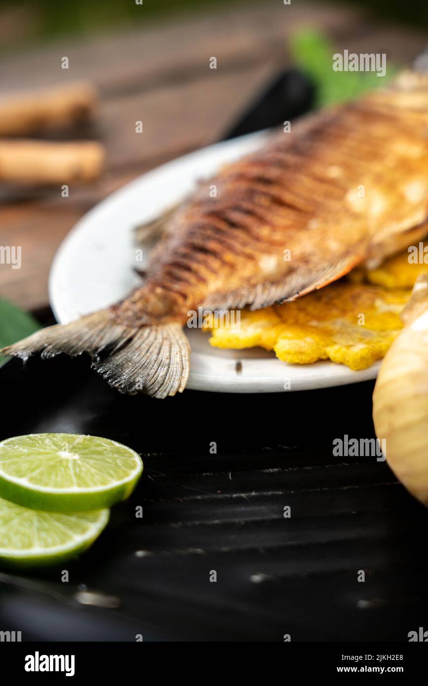 Slices fish hi-res stock photography and images - Alamy