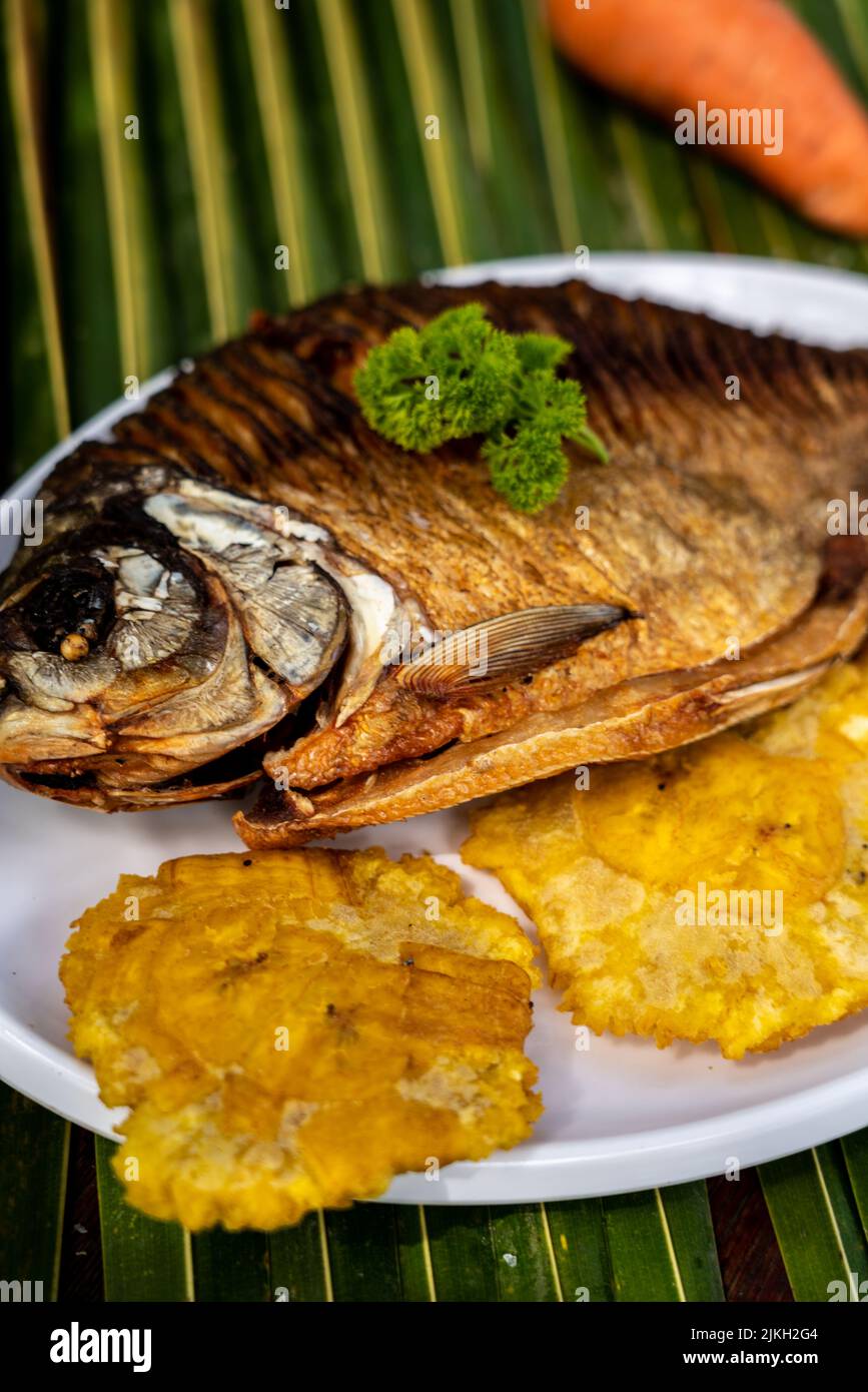 Tostones hi-res stock photography and images - Alamy