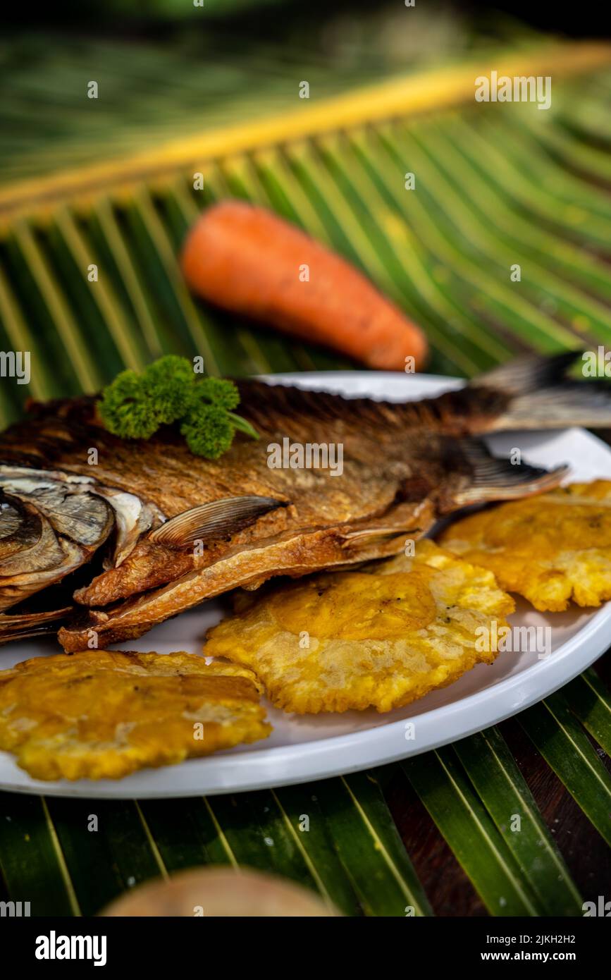 Tostones hi-res stock photography and images - Alamy