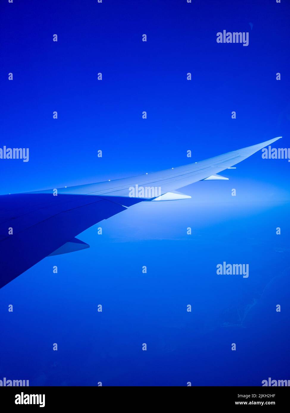 Wing vertical hi-res stock photography and images - Alamy