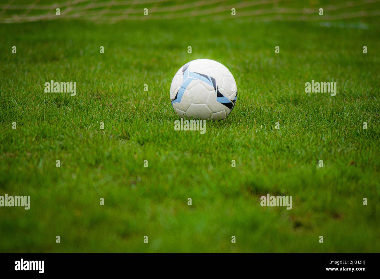 A white blue soccer ball on a green field Stock Photo - Alamy