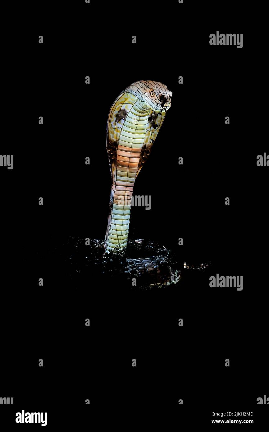 Osabrueck, Germany - 09 19 2020: Illuminated Sculpture at zoo lights ...