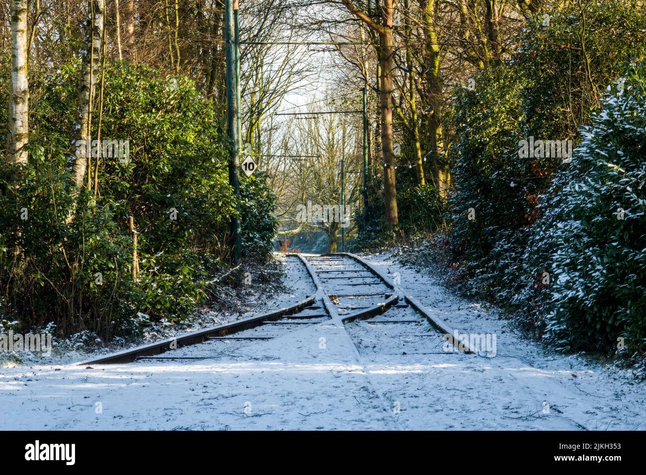 Old snowy railway tracks through a forest in the winter Stock Photo - Alamy