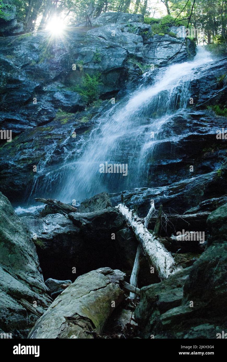 A vertical shot of a waterfall in a forest in long exposure with the ...