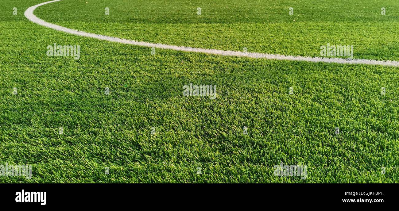 The central section of a football field with fresh grass Stock Photo ...