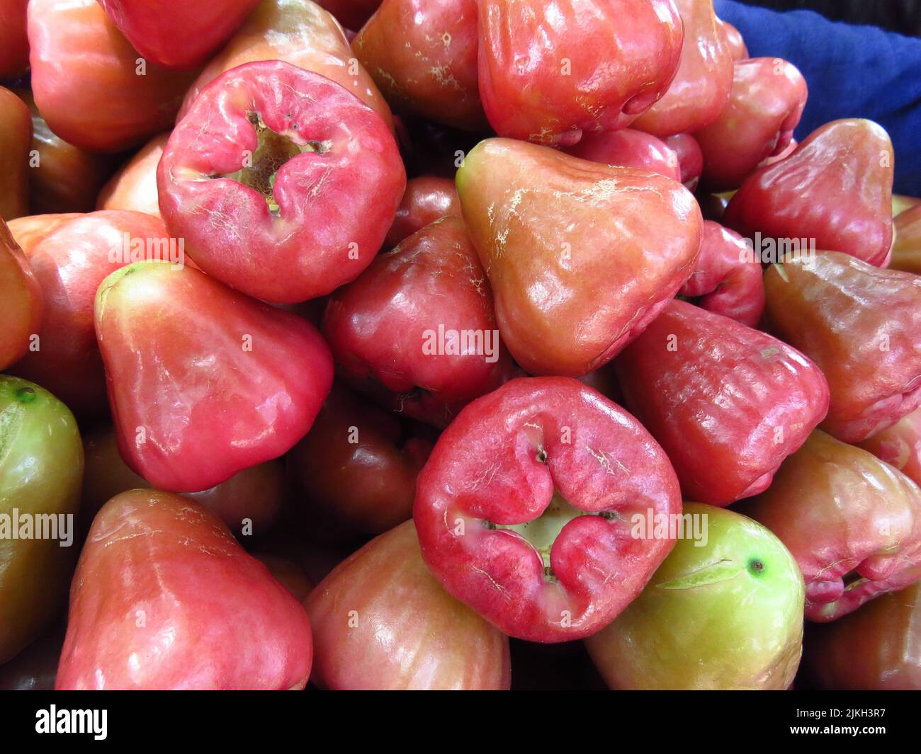 Syzygium samarangense hi-res stock photography and images - Alamy