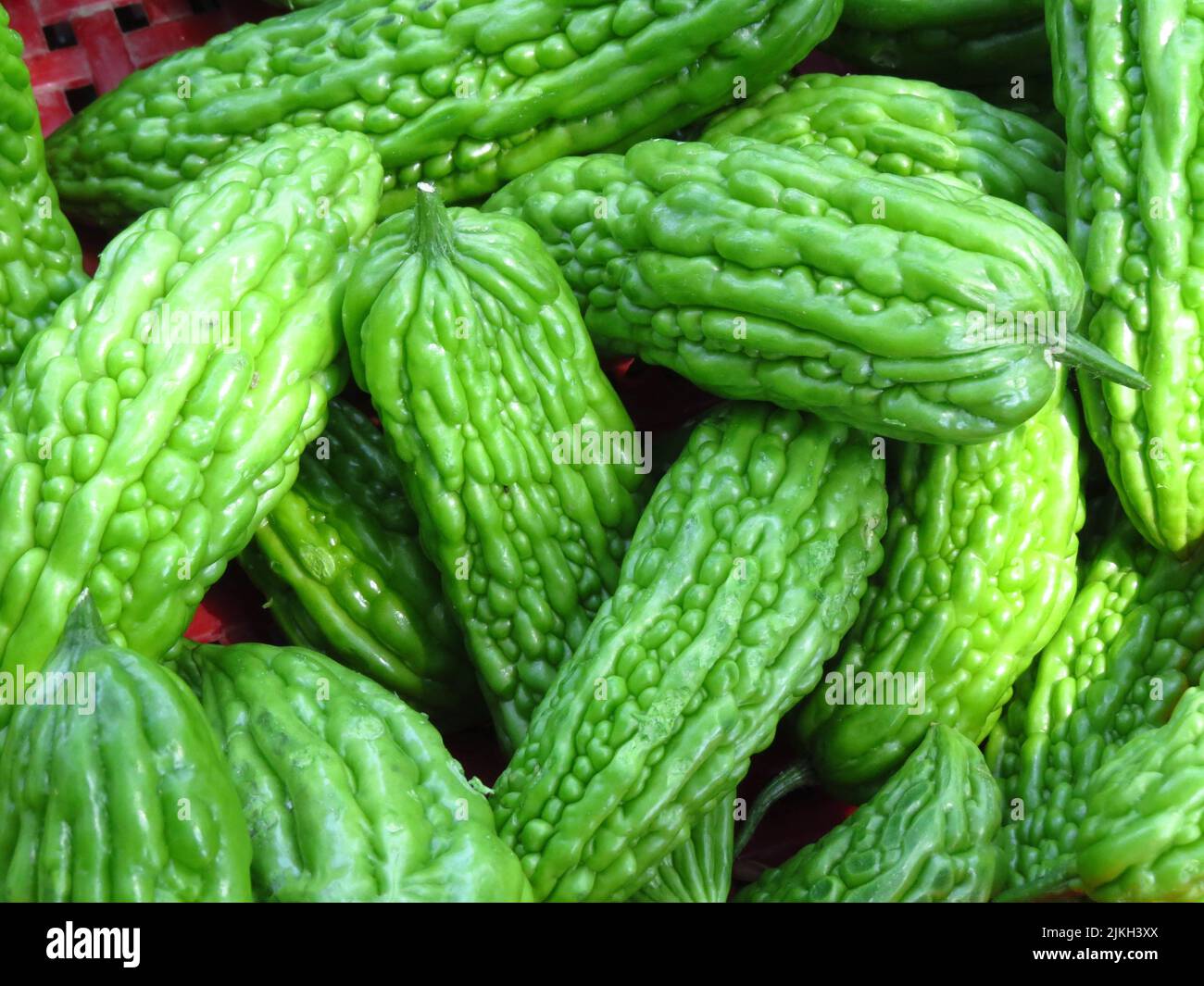 A closeup of bitter melons Stock Photo - Alamy
