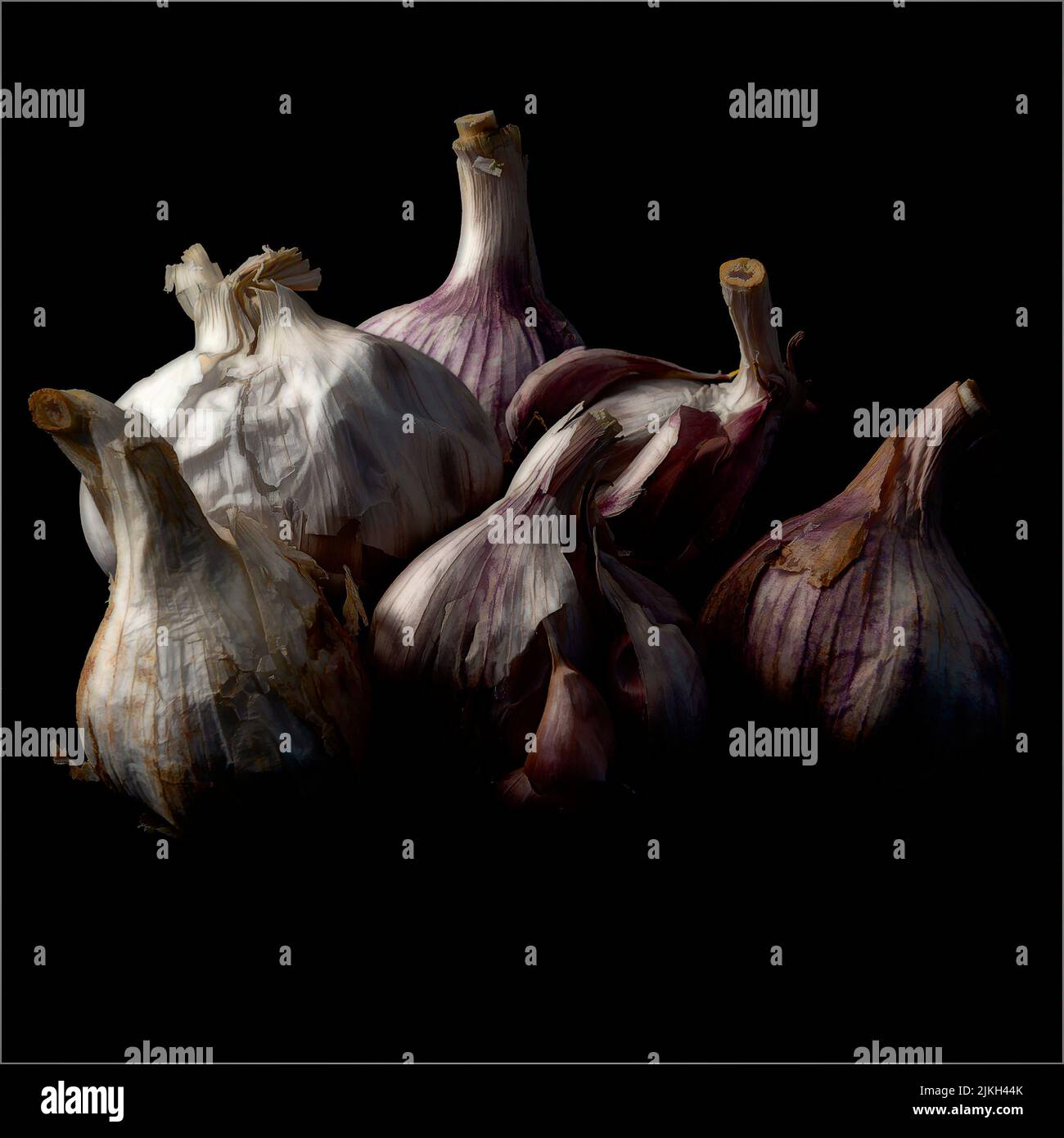 A vertical closeup of old and deteriorating garlic bulbs isolated on a ...