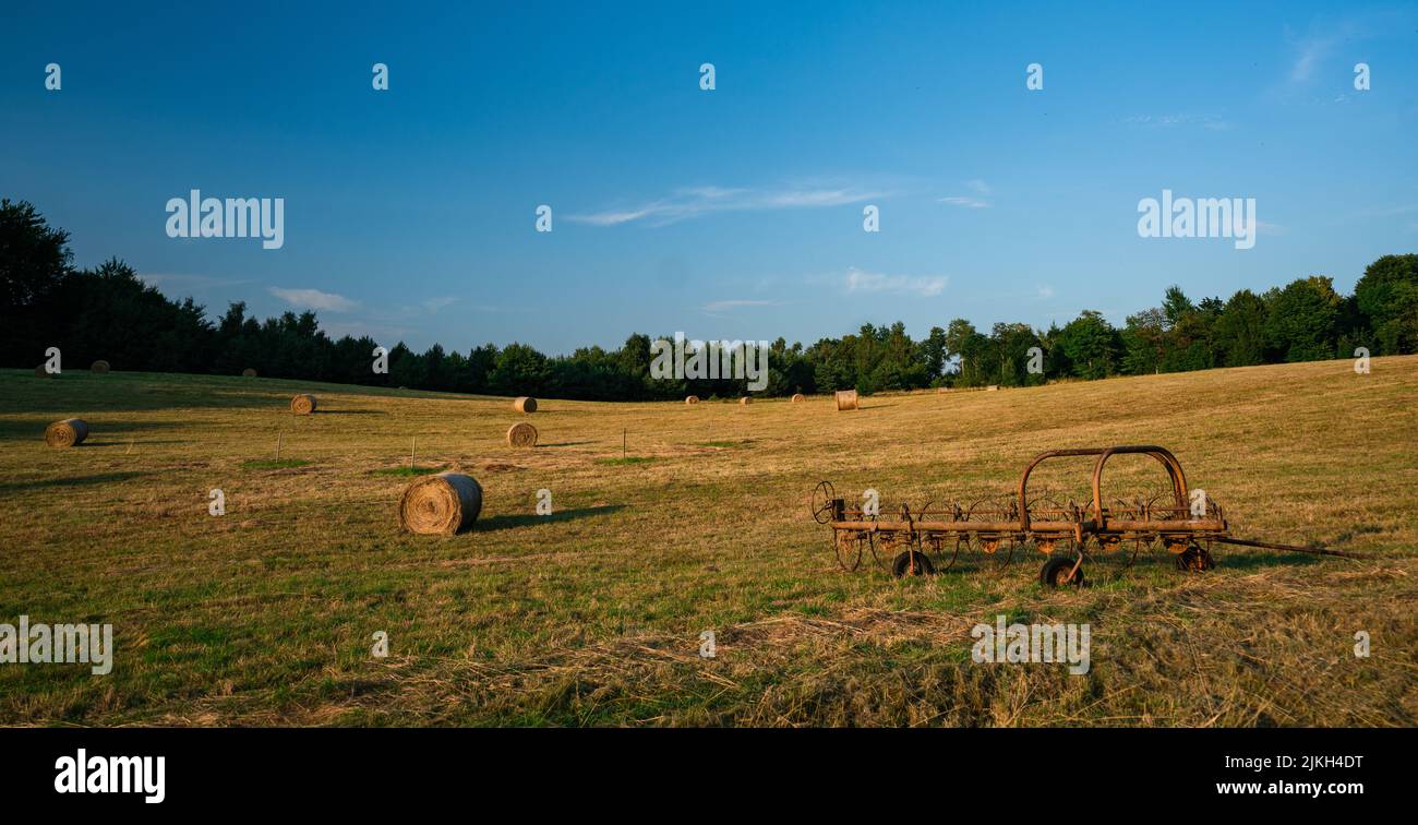 A landscape of an agricultural dry field under the blue sky in summer ...