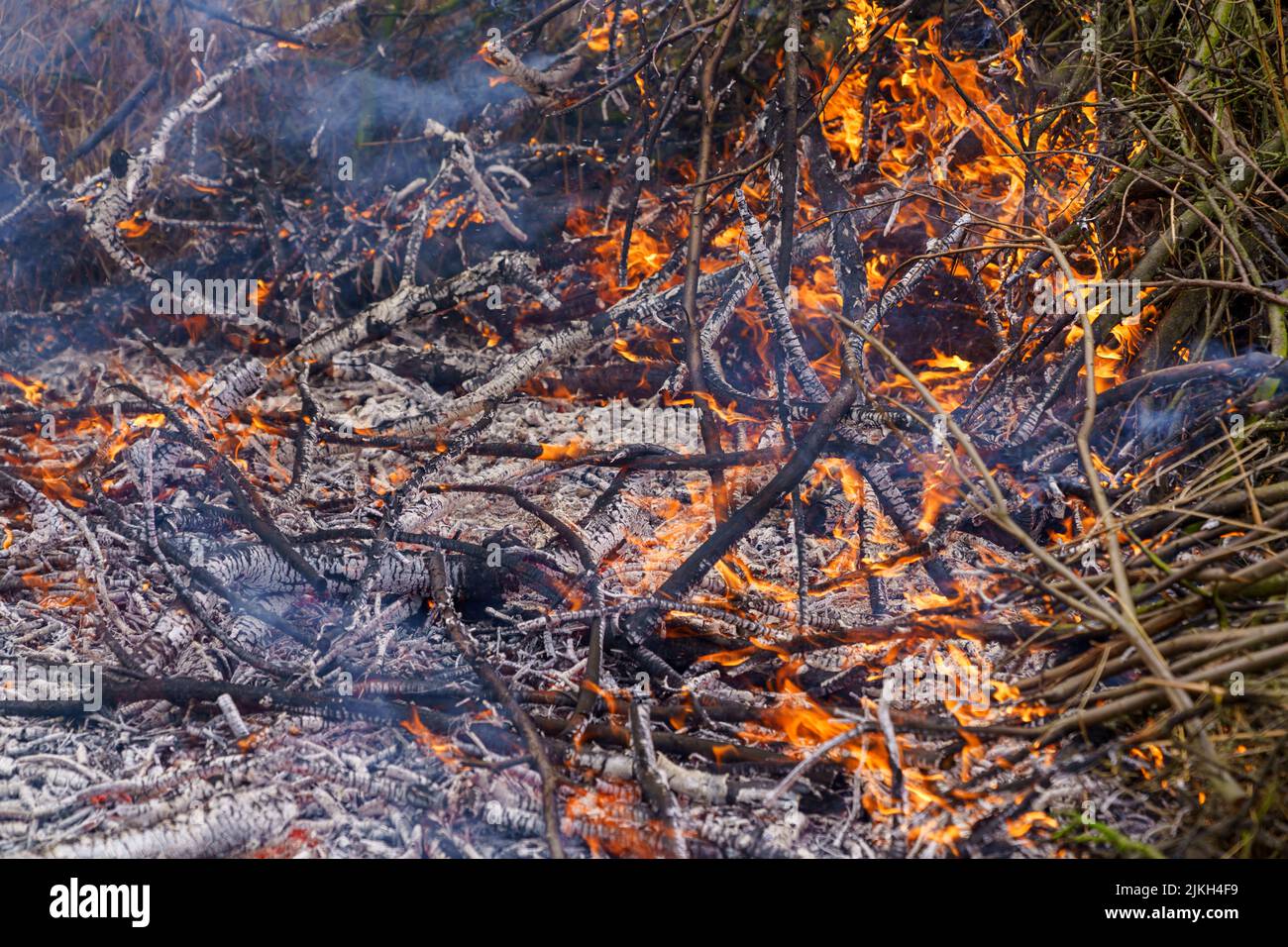 Branches of fire hi-res stock photography and images - Alamy