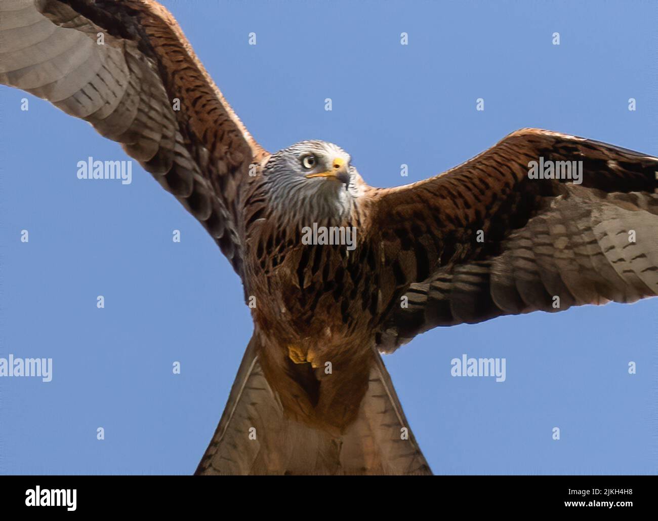 Wide shot sky hi-res stock photography and images - Alamy