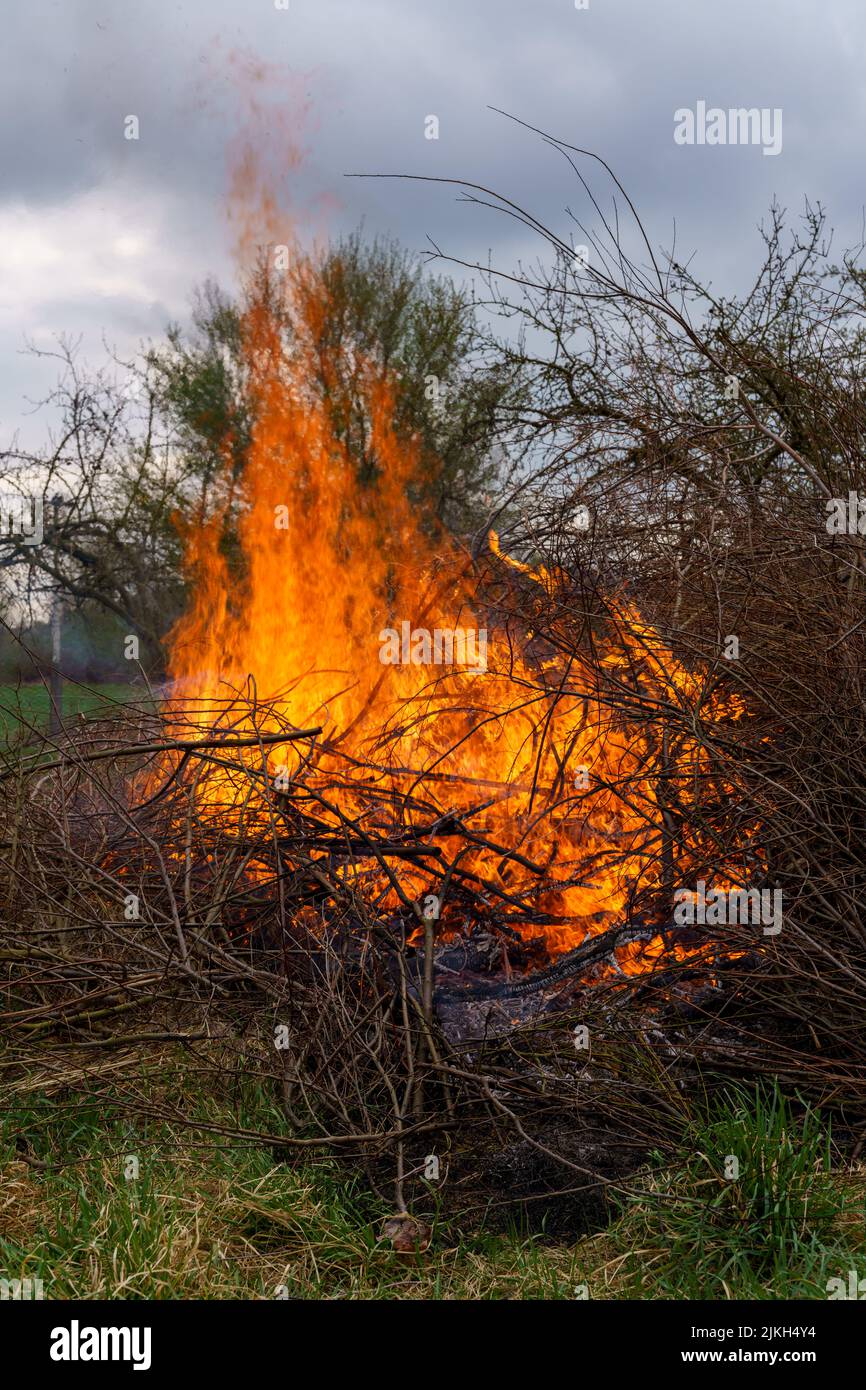 Branches of fire hi-res stock photography and images - Alamy