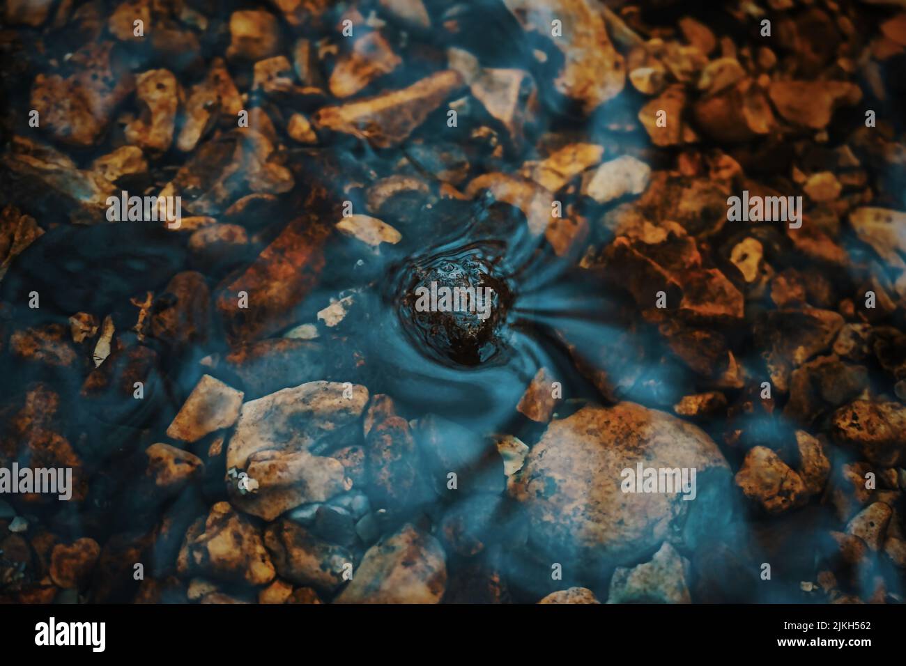 Shallow water environment hi-res stock photography and images - Alamy