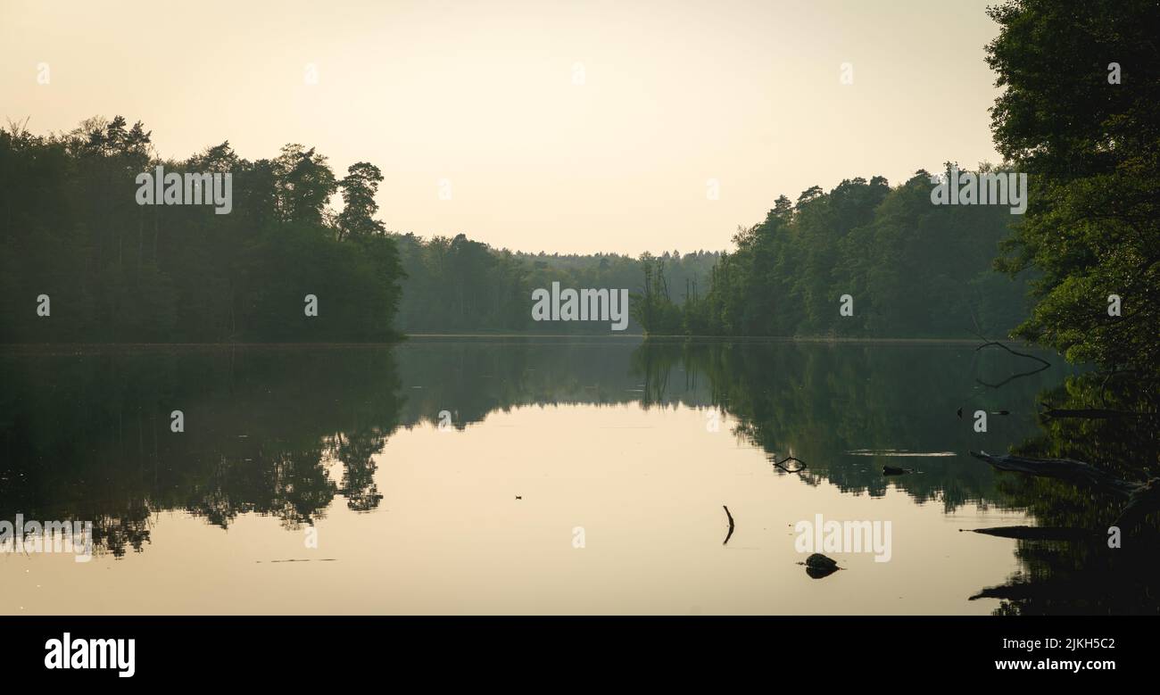 A landscape of sky and dens trees reflecting on the lake - mirror ...