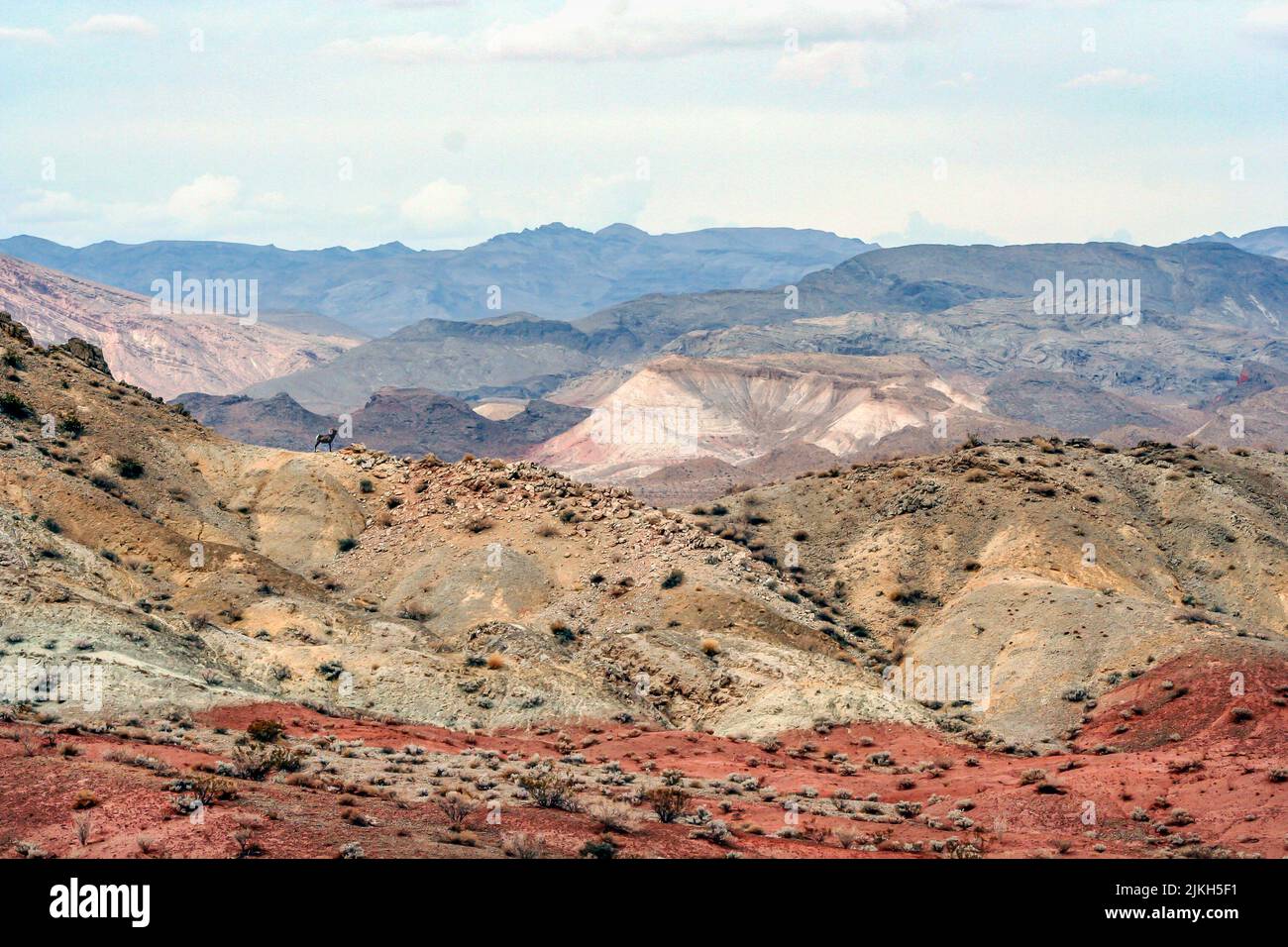 A dry landscape of badlands at Valley of Fire State Park in Nevada ...