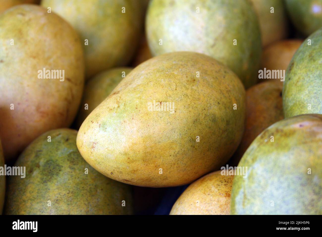 Mangi hi-res stock photography and images - Alamy