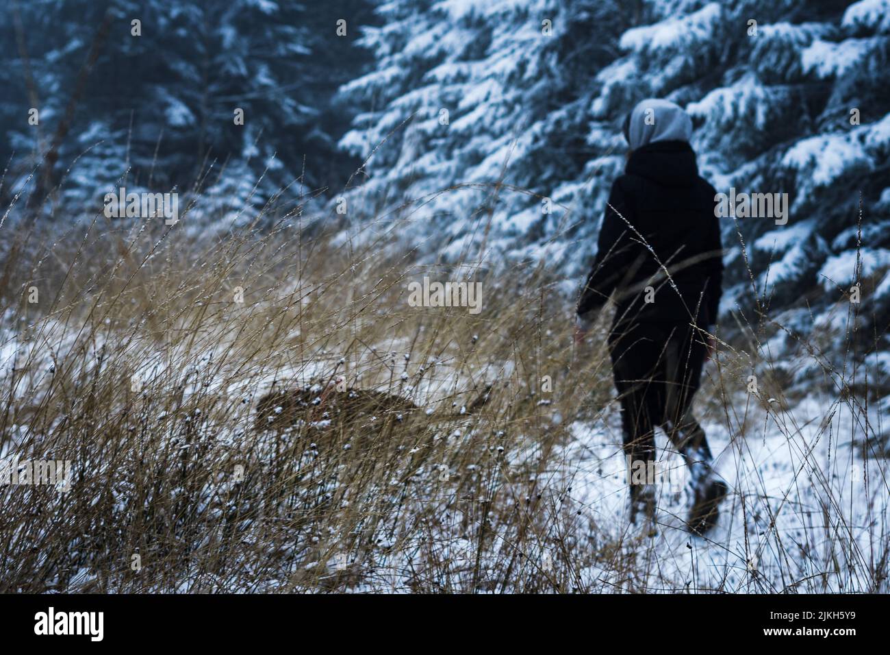Female depression germany hi-res stock photography and images - Alamy