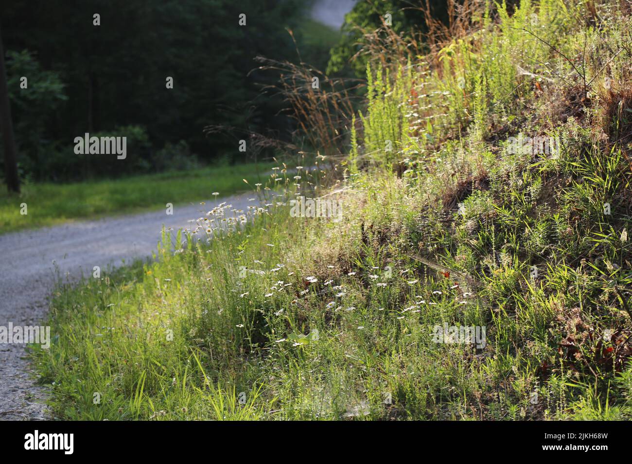 Hillside road hi-res stock photography and images - Alamy