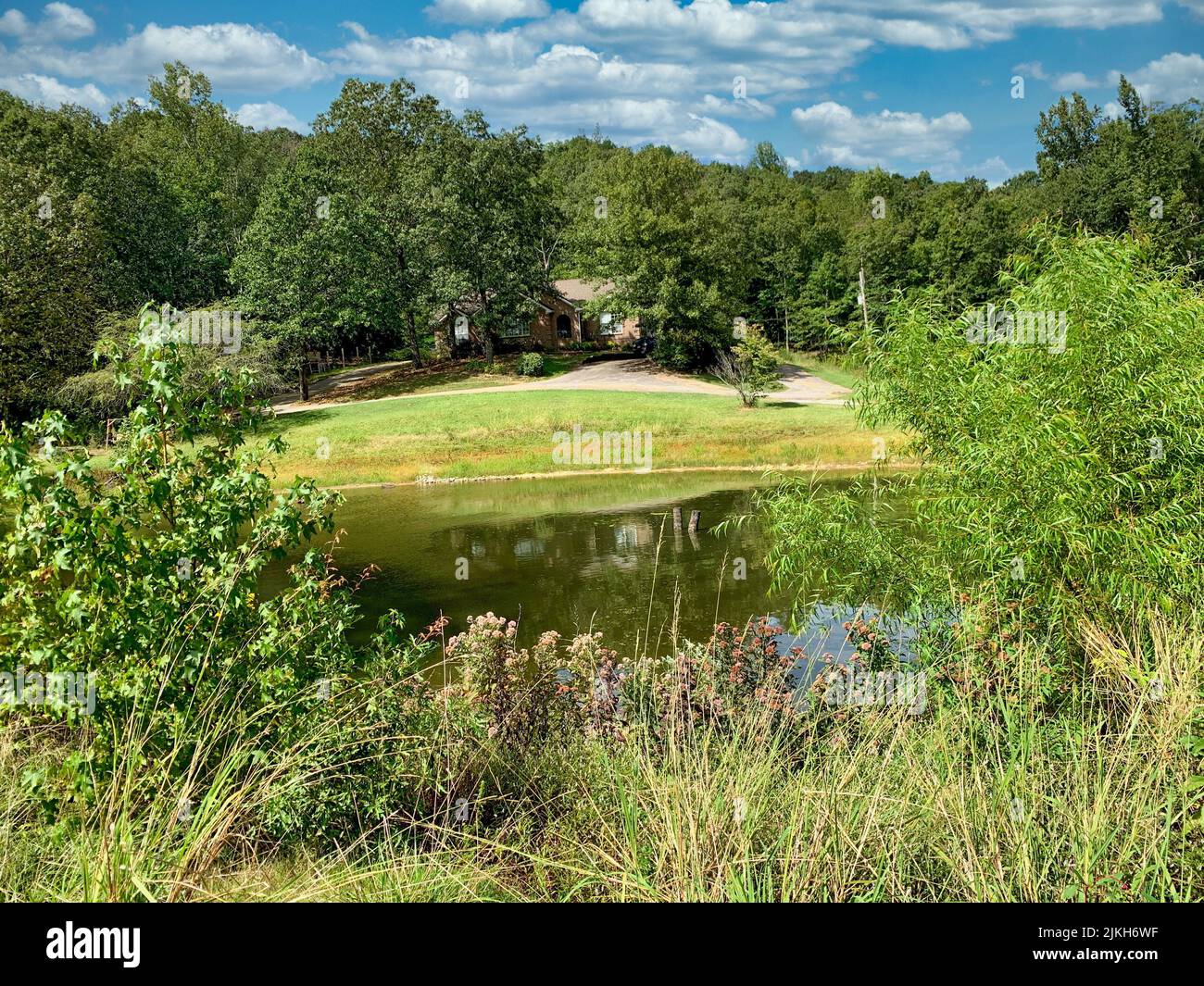 Outdoor nature and landscape setting with a pond in rural Alabama Stock ...