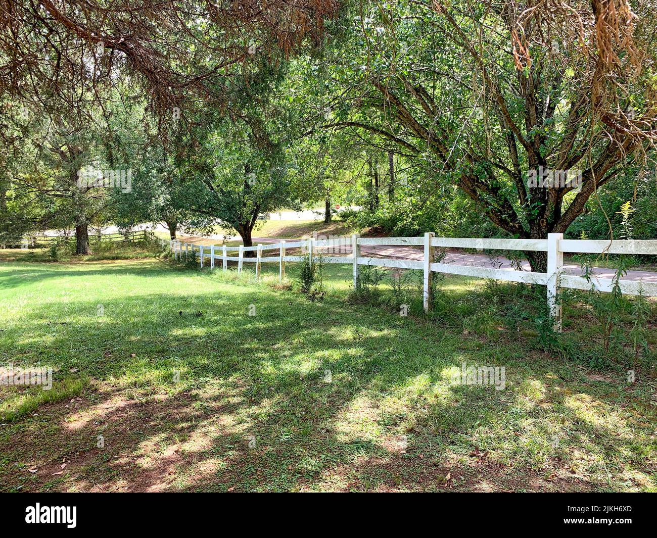 Outdoor nature and landscape setting with a fence in rural Alabama ...