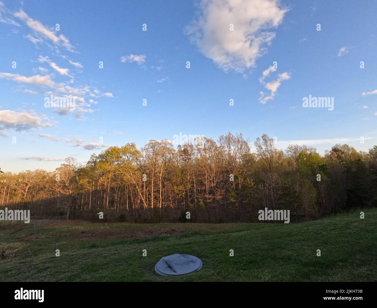Green field in front of a forest in daytime Stock Photo - Alamy