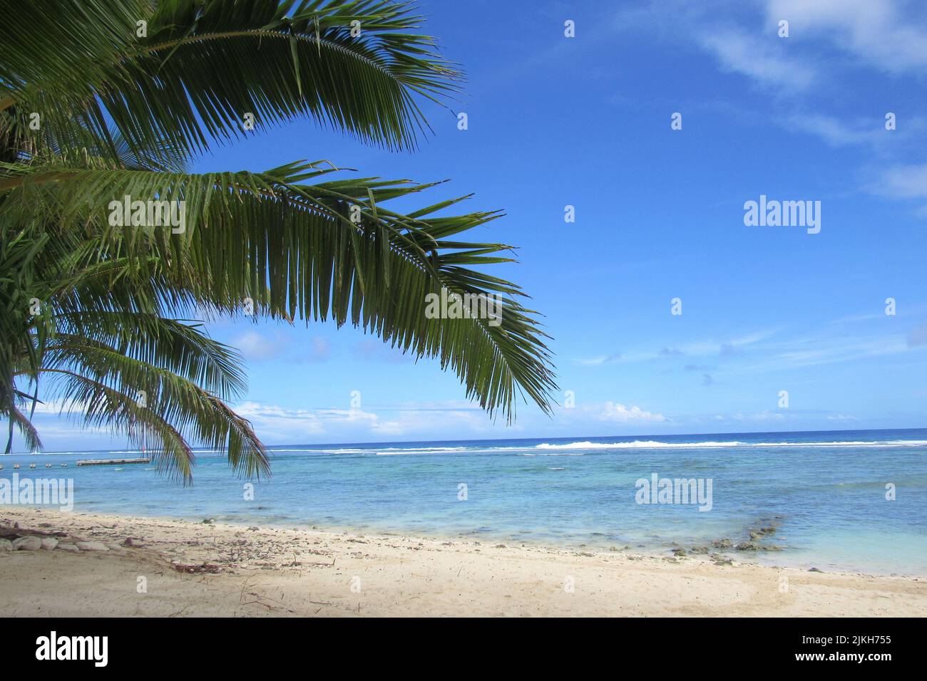 A view of a tropical beach with palms in Cook islands Stock Photo - Alamy