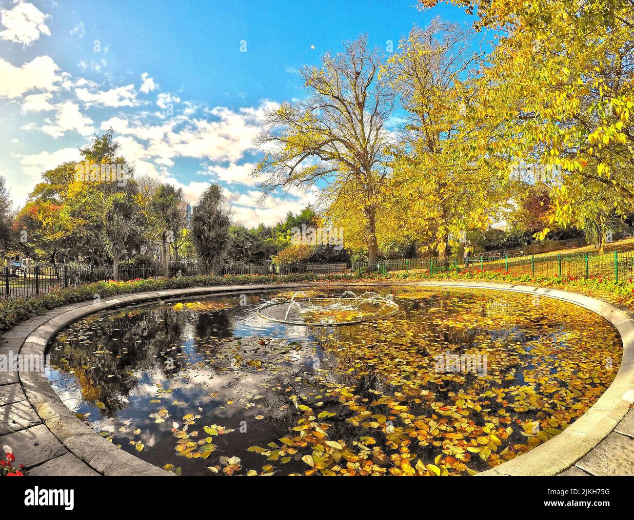 Water fall fish hi-res stock photography and images - Alamy