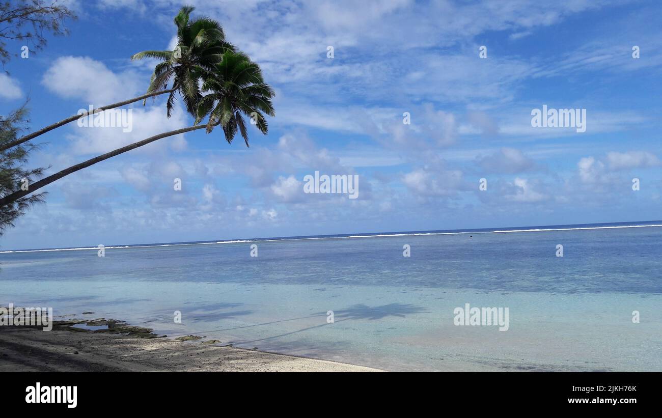 A view of a tropical beach with calm turquoise sea in Rarotonga Cook ...