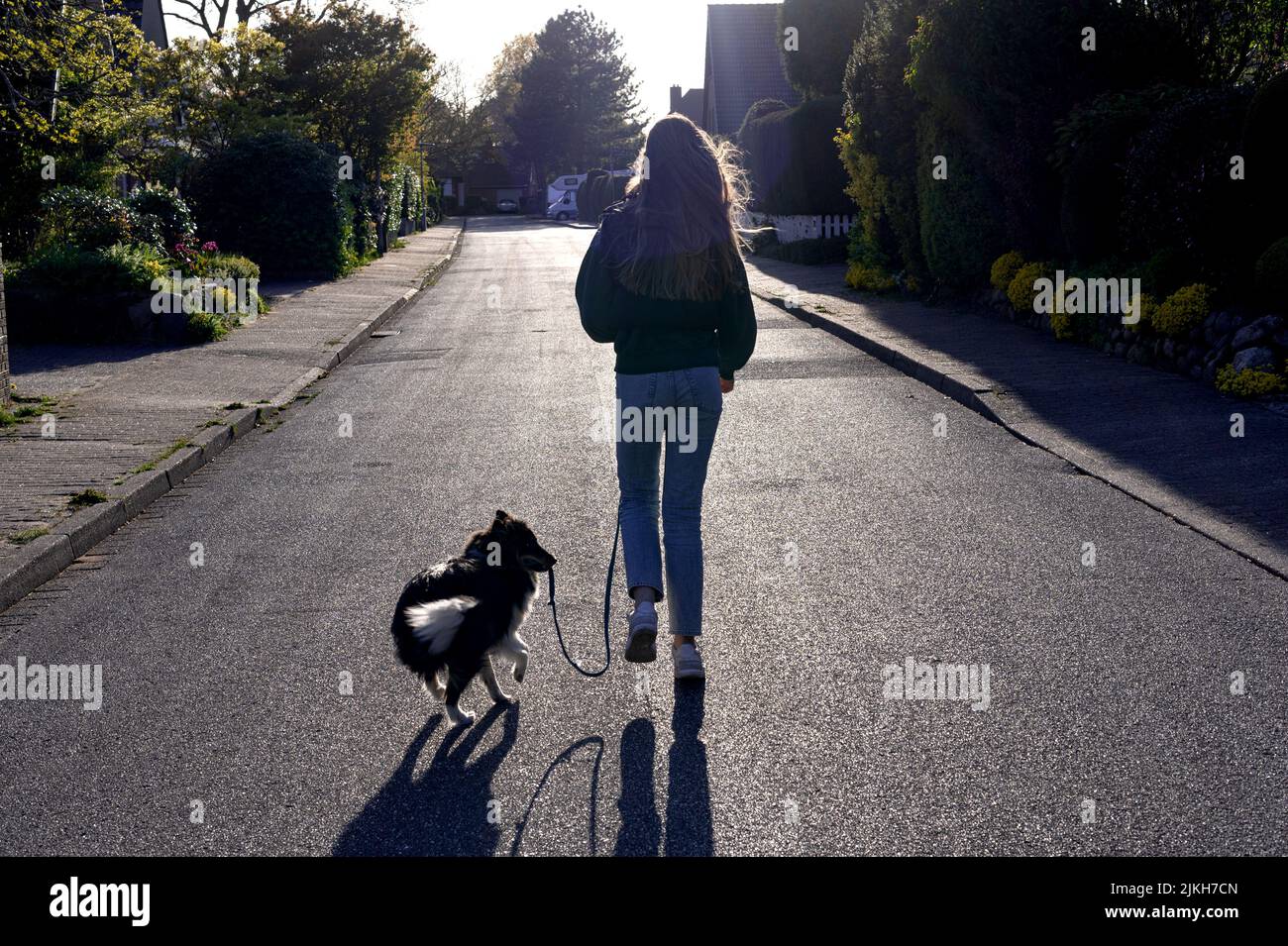 A back view of a young blonde girl walking her dog on a sunny day Stock ...