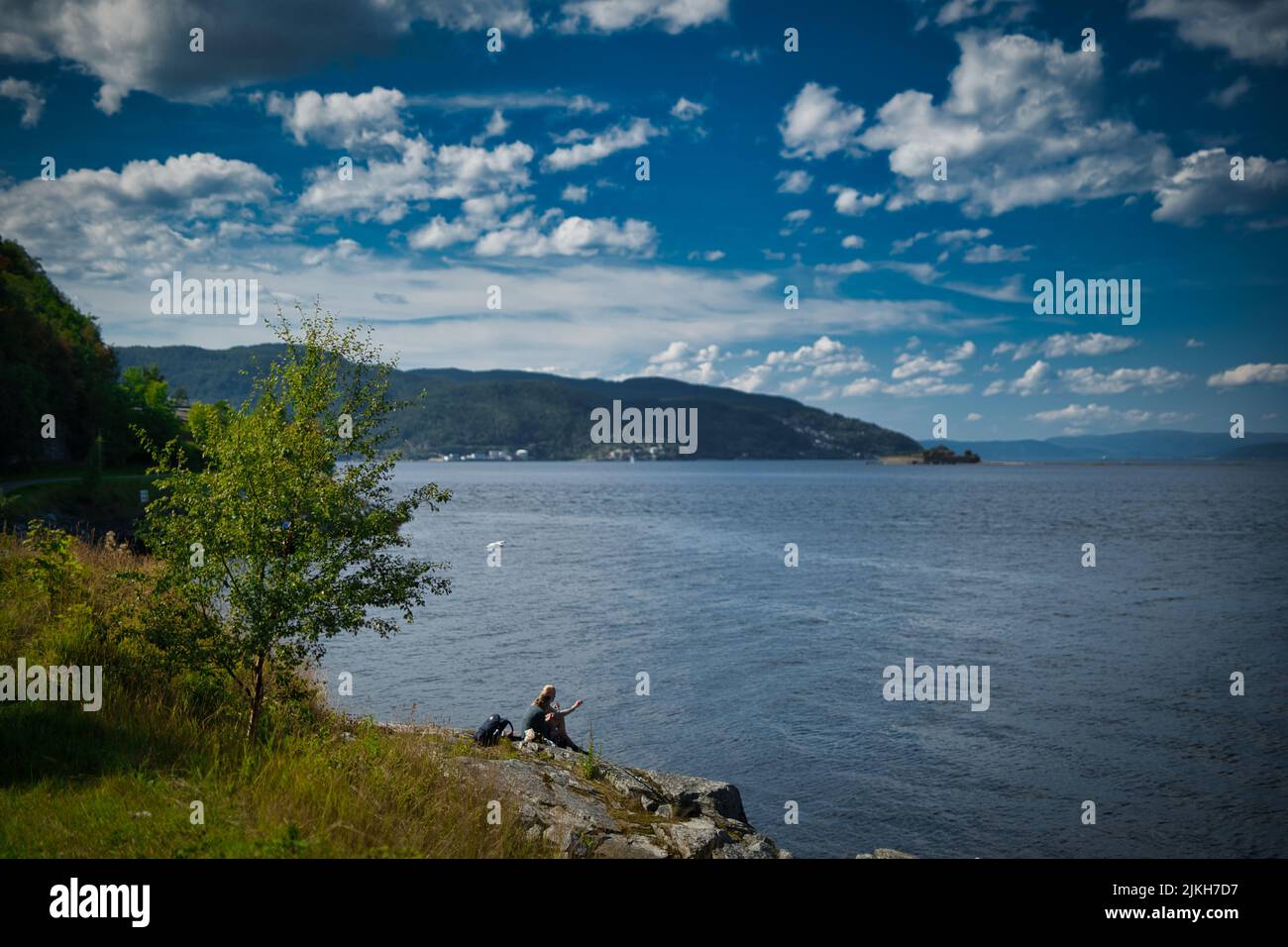 Trondheim nature hi-res stock photography and images - Alamy