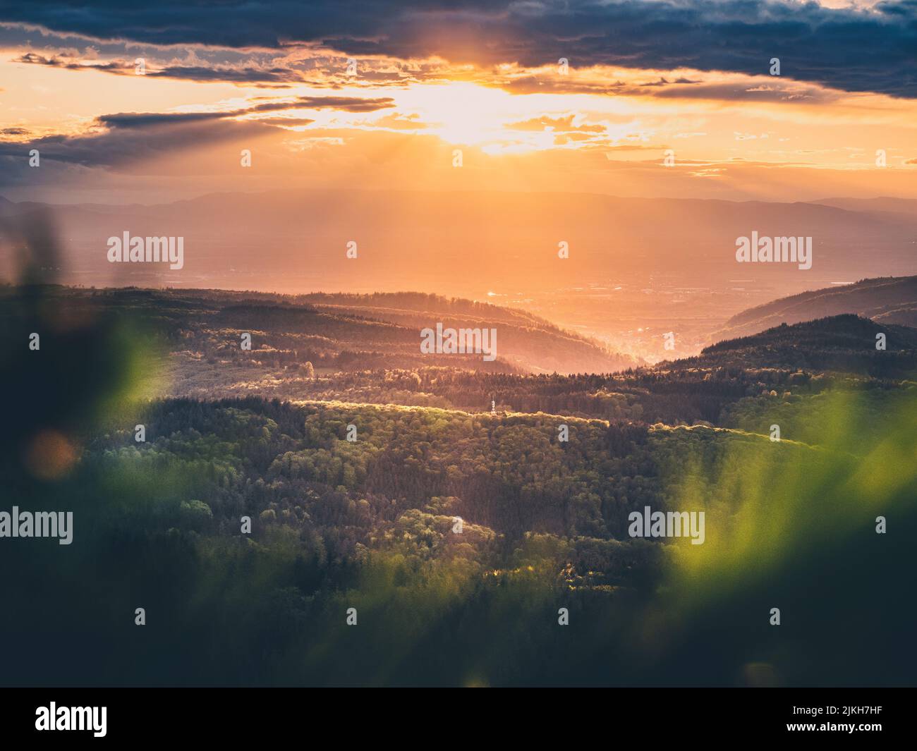 An aerial view of a beautiful forest at sunset in Germany Stock Photo ...