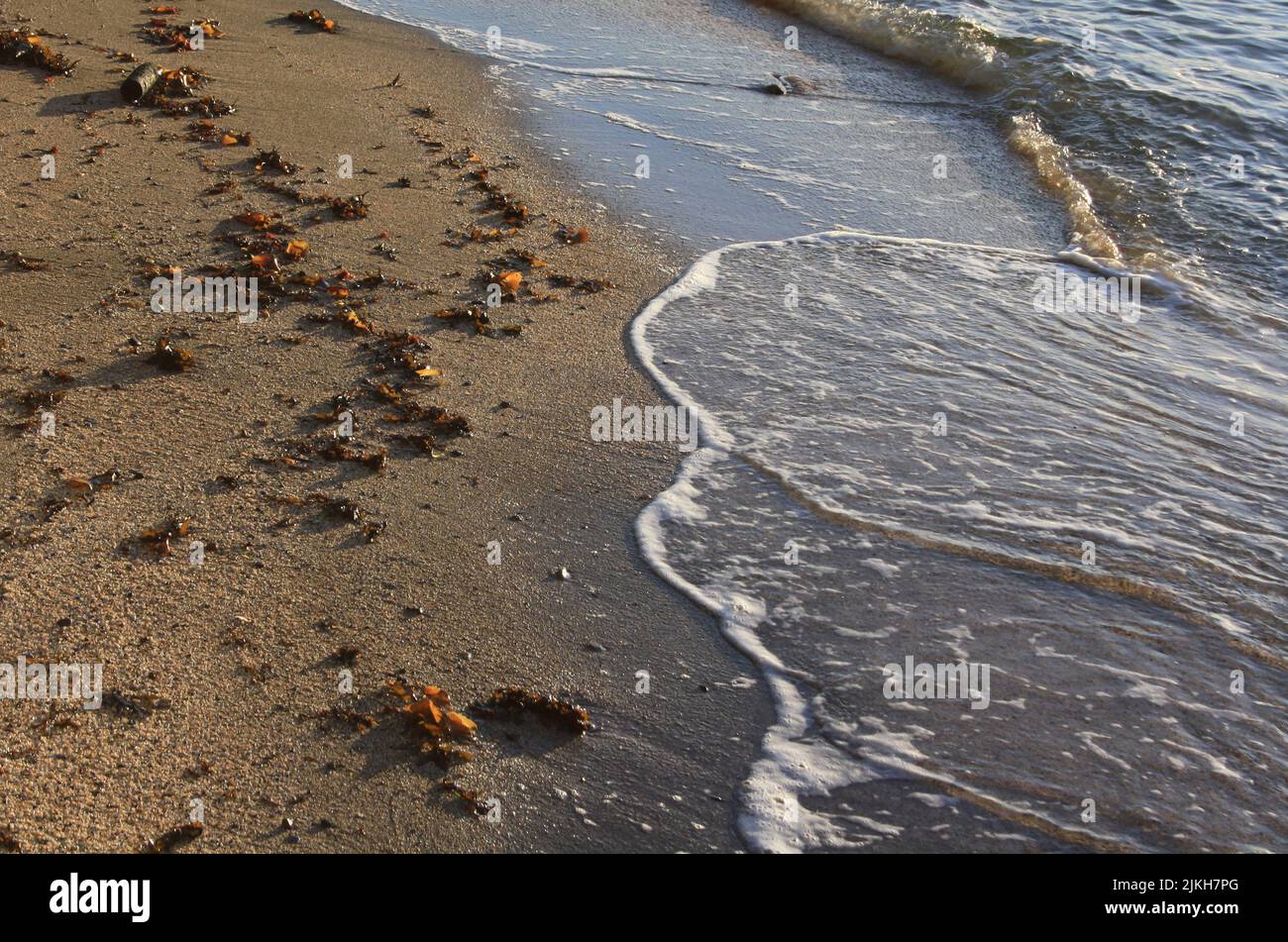 Shore line texture hi-res stock photography and images - Alamy